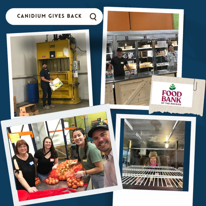 Apply to Work at Canidium